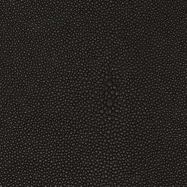Shagreen Vinyl Upholstery with Resilience SR | Douglass #5763