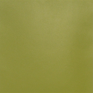 Spirit Millennium Vinyl Upholstery with BeautyGard | Douglass #5784