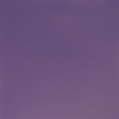 Spirit Millennium Vinyl Upholstery with BeautyGard | Douglass #5784