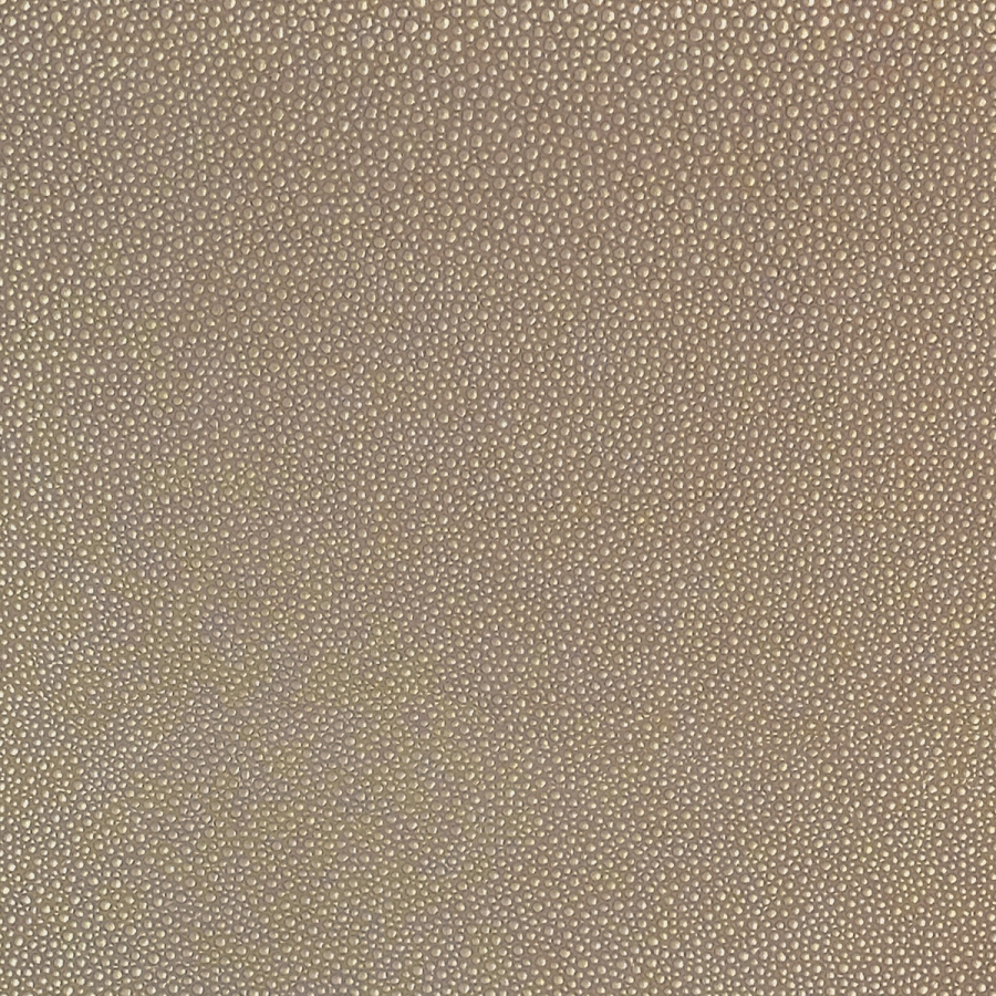 Shagreen Vinyl Upholstery with Resilience SR | Douglass #5763