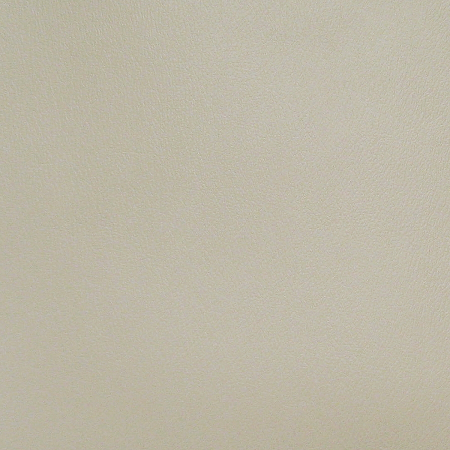 Spirit Millennium Vinyl Upholstery with BeautyGard | Douglass #5784