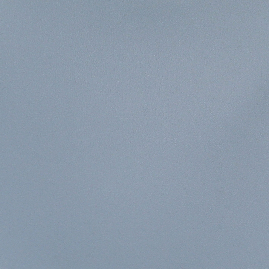 Spirit Millennium Vinyl Upholstery with BeautyGard | Douglass #5784