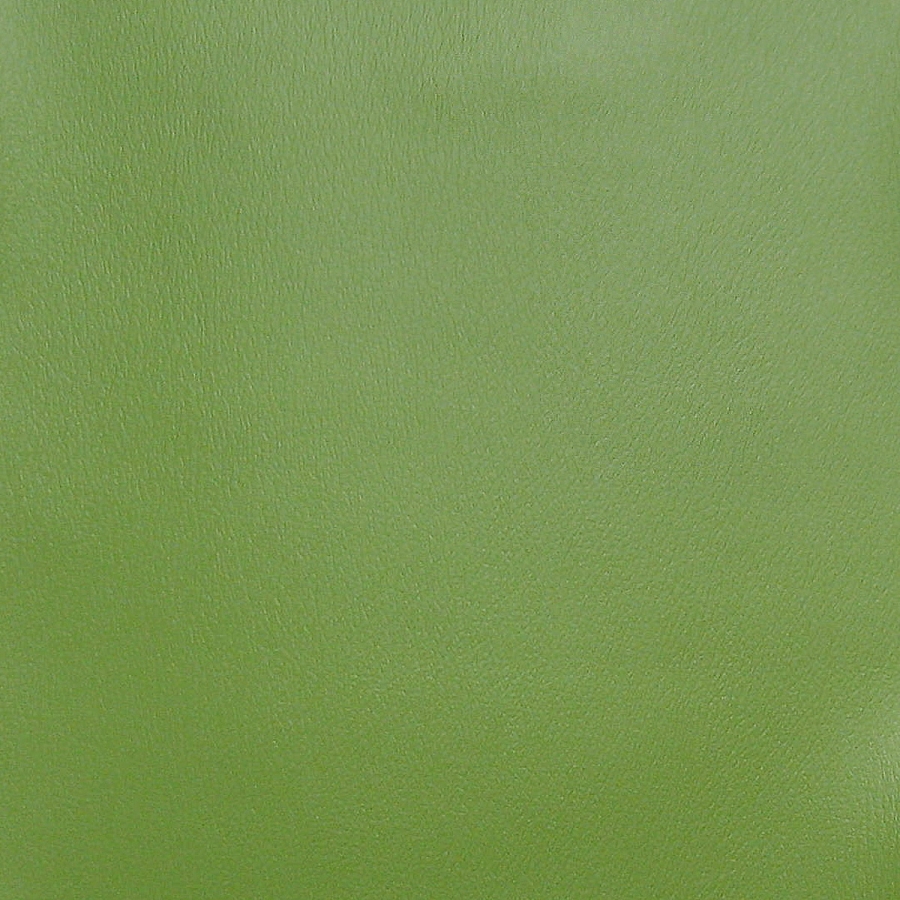 Spirit Millennium Vinyl Upholstery with BeautyGard | Douglass #5784