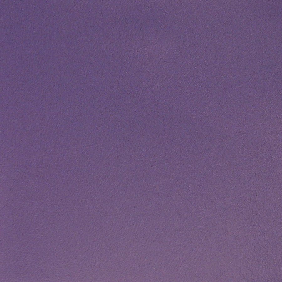 Spirit Millennium Vinyl Upholstery with BeautyGard | Douglass #5784