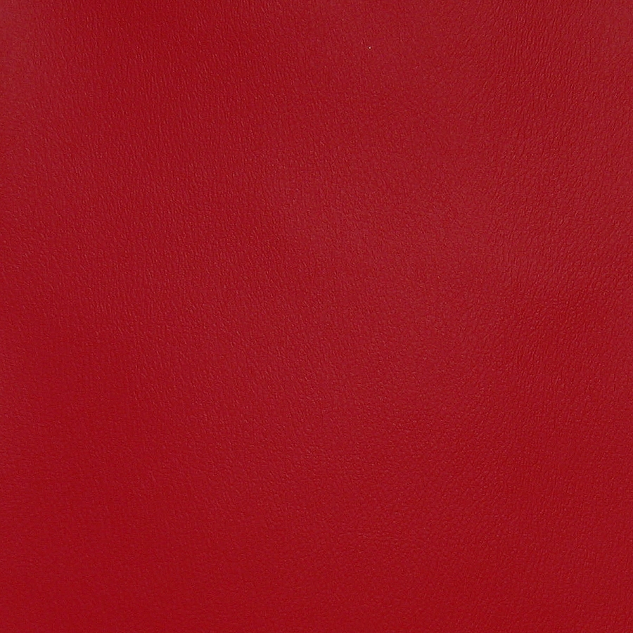 Spirit Millennium Vinyl Upholstery with BeautyGard | Douglass #5784