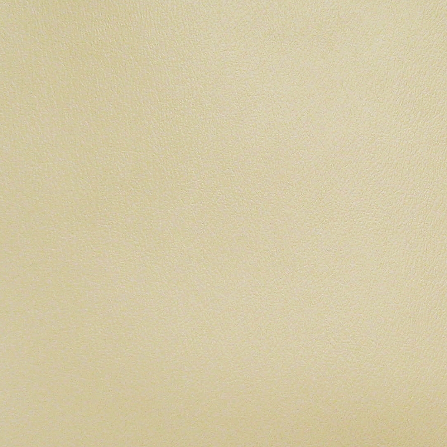 Spirit Millennium Vinyl Upholstery with BeautyGard | Douglass #5784