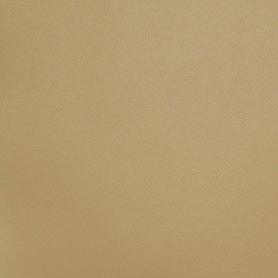 Spirit Millennium Vinyl Upholstery with BeautyGard | Douglass #5784